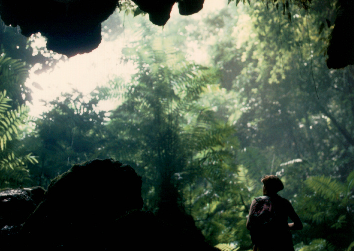 Cave Mouth